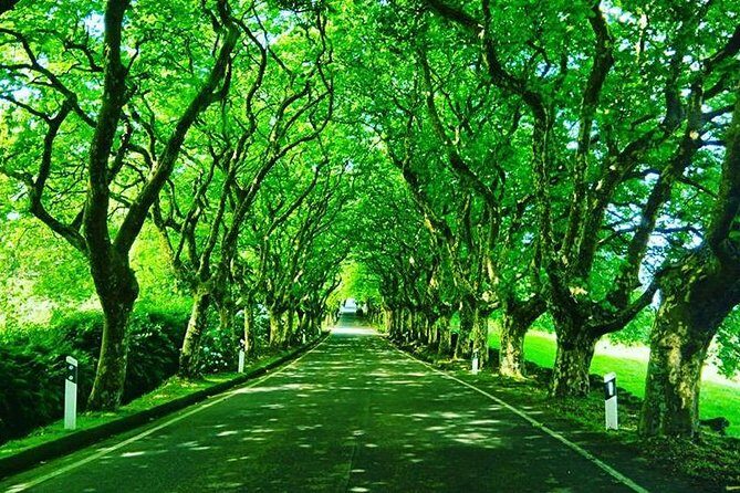 Full day Van Tour - Practicalities and What to Expect