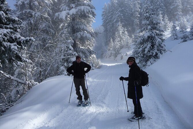 Full-day Vitosha Mountain Snowshoe Hiking Tour from Sofia - What to Expect on the Snowshoe Hike
