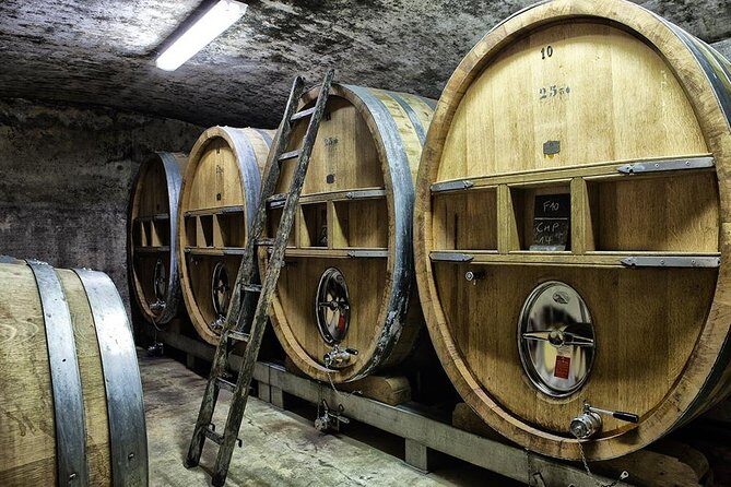 Full-day Wine Tour around Bandol & Cassis from Marseille - Who Will Love This Tour?