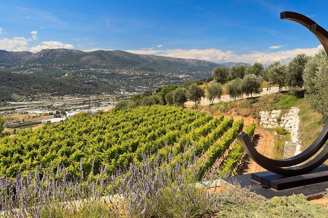 Full-day Wine Tour in Bellet & Saint-Paul de Vence from Nice - Final Verdict