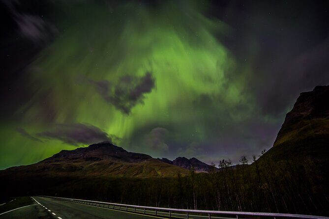 Full Night Magic of the Northern Lights in Tromso - Authentic Experiences from Travelers