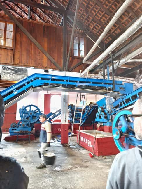 Funchal Agriculture Green Tour - Who Will Love This Tour?