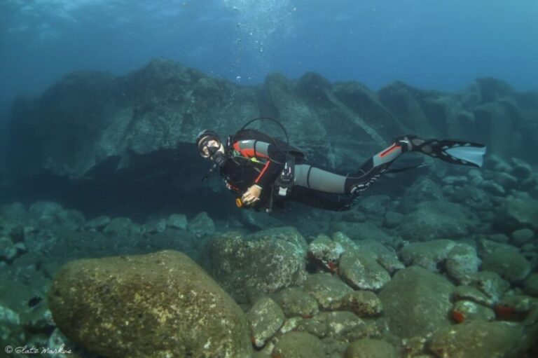 Funchal: Certified Scuba Diving, Guided Tour - An In-Depth Look at the Tour Experience