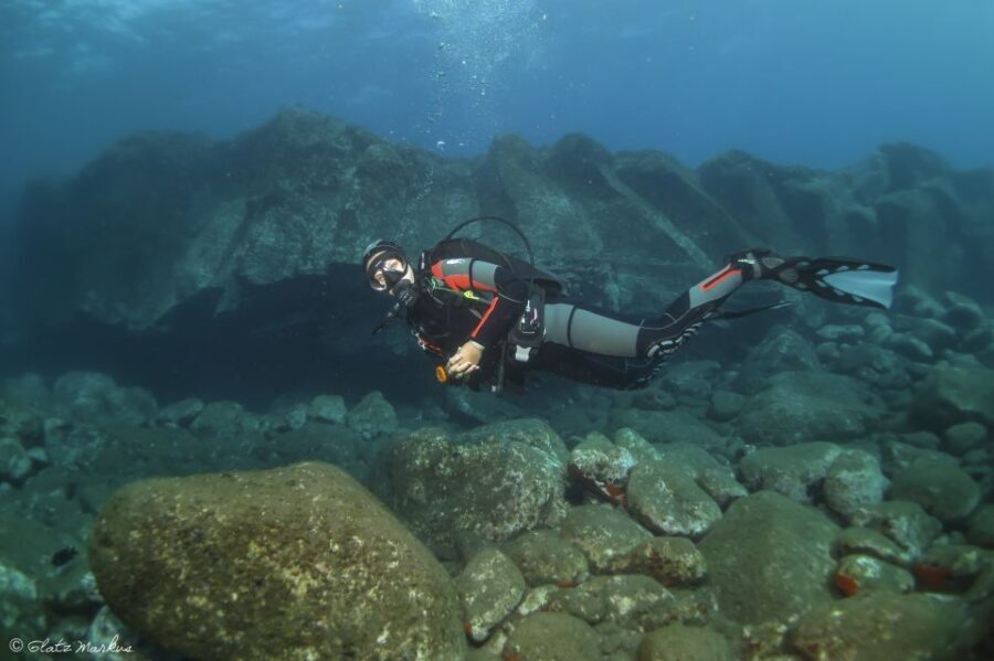 Funchal: Certified Scuba Diving, Guided Tour - An In-Depth Look at the Tour Experience