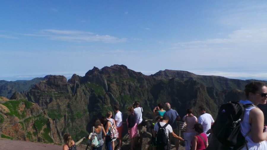 Funchal: Pico Arieiro, Cristo Rei and Dolphins Watching - Why This Tour Is Worth Considering