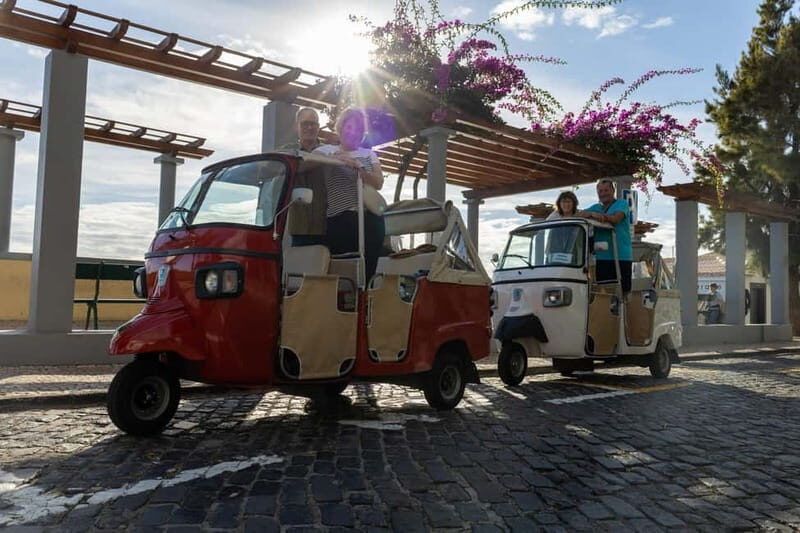 Funchal: Tuk Tuk Tour to the Most Breathtaking Viewpoints - What to Expect During the Tour