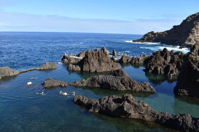 Funchal: Waterfalls, Volcanic Pools, and Fanal Forest Tour - The Transport and Group Size