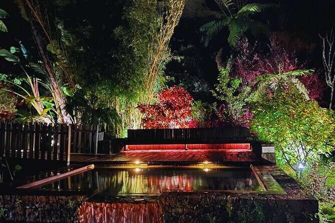 Furnas: Mystic Tour (w/Dinner) - Hot Springs - What Makes This Tour Stand Out?