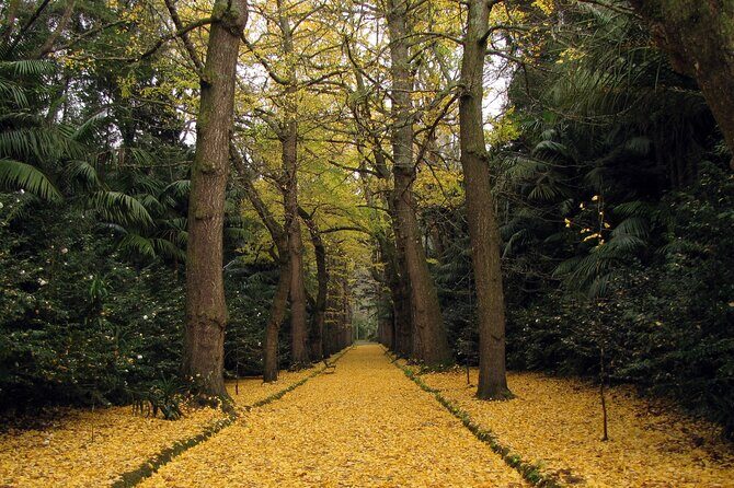 Furnas & Terra Nostra Park: Biologist-guided Botanic Tour +lunch - FAQs