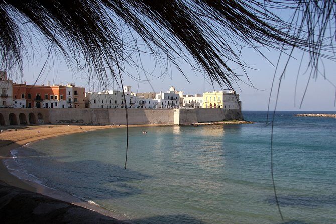Gallipoli walking tour - What Makes This Tour Stand Out?