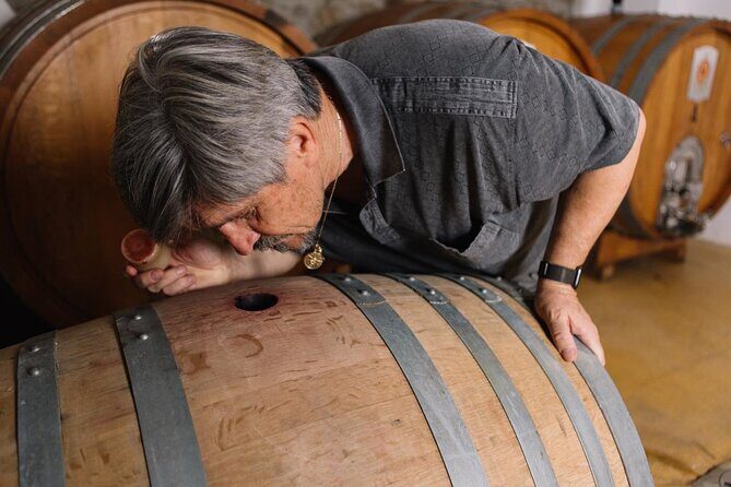 Gallura Winery with Wine Tasting in Olbia - What to Expect from the Tour