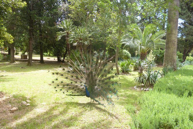 Game of Thrones Kings Landing filming locations with Lokrum Island visit - Practical Details and Booking Tips