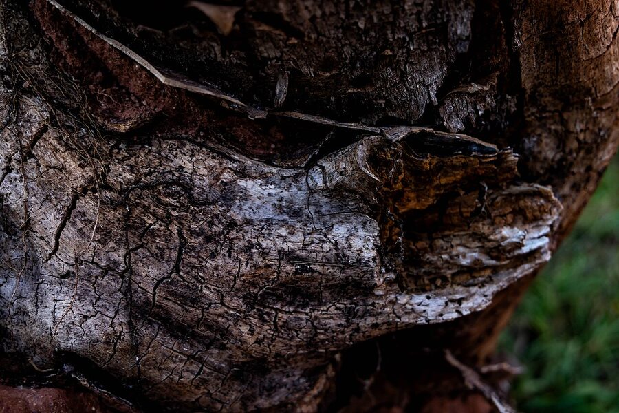 Garden of the Gods red rock formations at sunrise