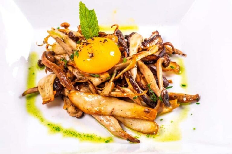 GASTRONOMIC MUSHROOM EXPERIENCE. Tour not included - Why This Experience Is Worth It