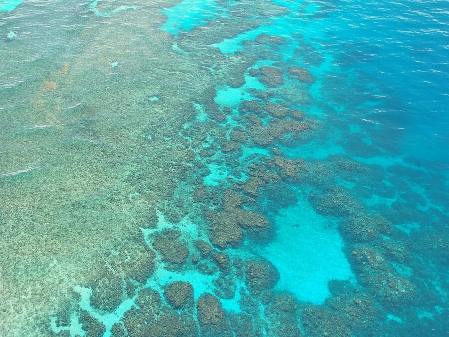Aerial view of Great Barrier Reef coral patches in the Pacific Australia