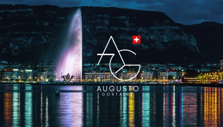 Geneva: Complete Tour, UN area & Old City (Hotel PICK-UP) - Who Will Love This Tour?