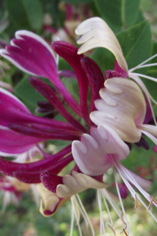 Get to know South Moravia with us. 6 hour tour. - Exploring the South Moravia Tour: What to Expect