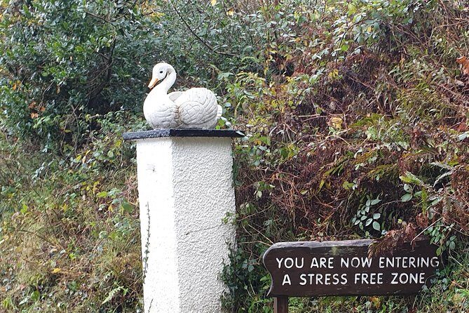 Giants causeway and Glens of Antrim day trip - Practicalities and What You Get