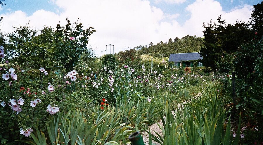 Spring tulips in the Clos Normand garden at Giverny
