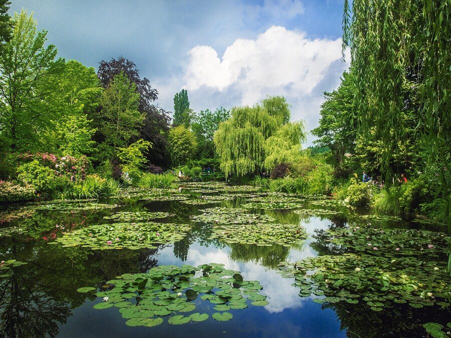 Monet's gardens at Giverny in bloom
