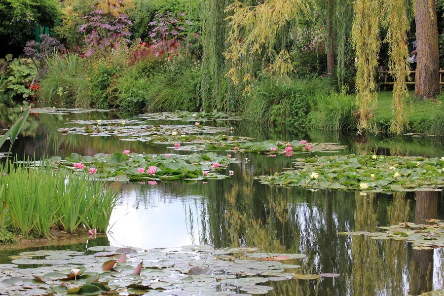 Water garden with lotus and reflection Giverny