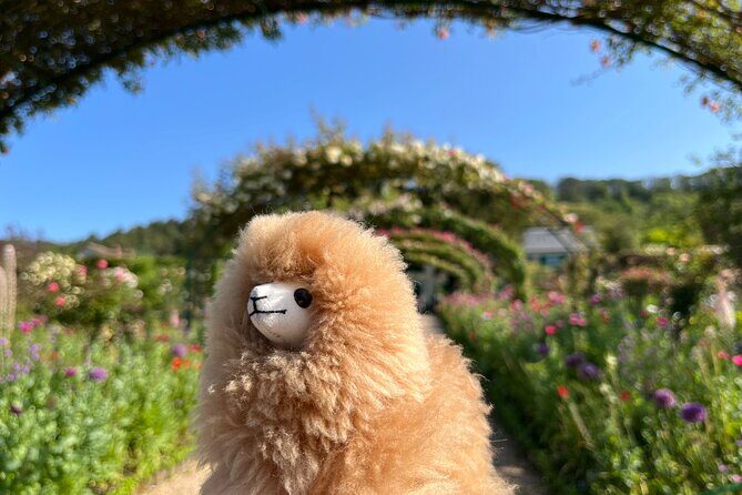 Giverny & Versailles Private Guided Tour with Ticket Entry - Practical Details and Value