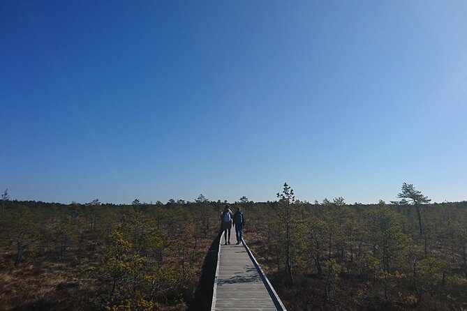 Go North  Private 1 Day Trip to Estonian Nature - Who Would Love This Tour?