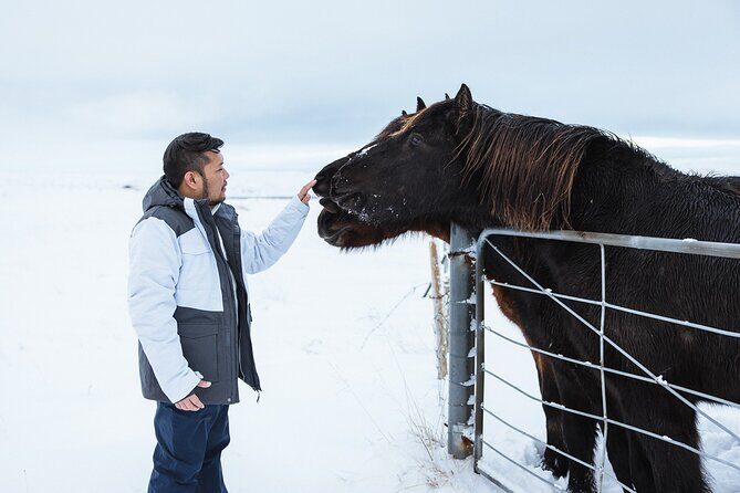 Golden Circle | Private Tour | PRO Photo Package - Pricing & Value Analysis