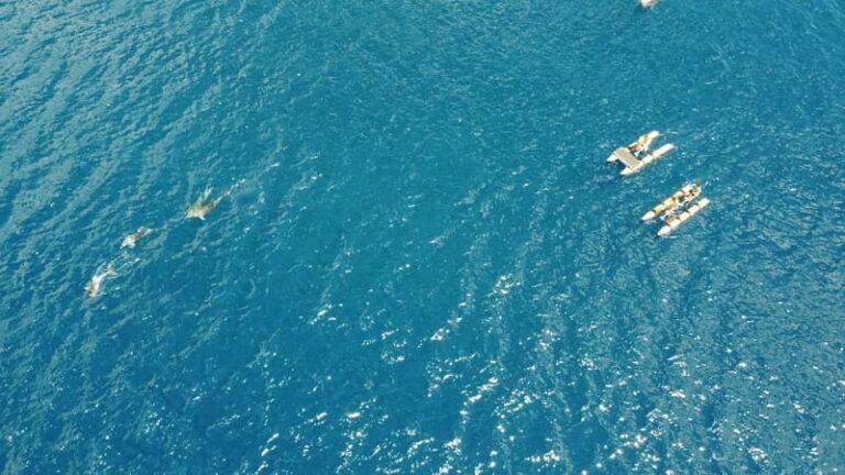 Golfo Aranci: Hydrobike Experience with Aperitif & Dolphins - The Itinerary in Detail