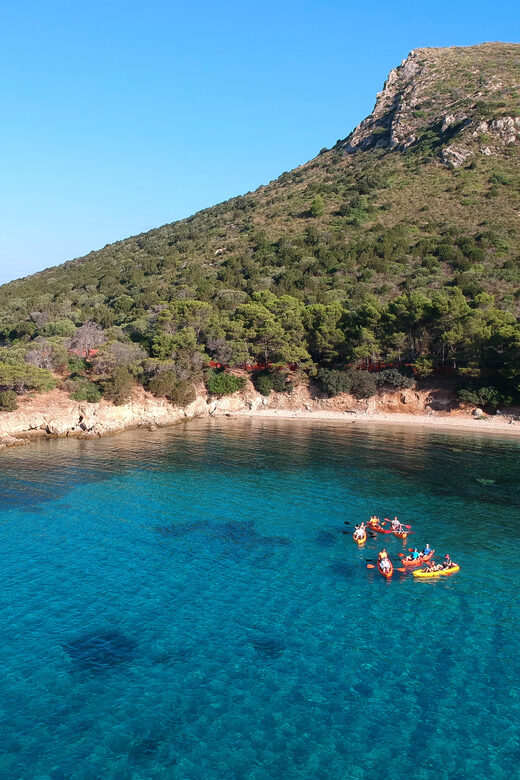 Golfo Aranci: Sunrise Dolphin Kayak Tour with Breakfast - Authentic Experiences & Reviews from Guests