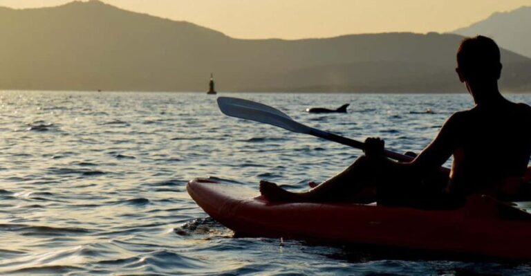 Golfo Aranci: Sunset Dolphin Kayak Tour with Aperitif - The Worth of the Experience & Practical Tips