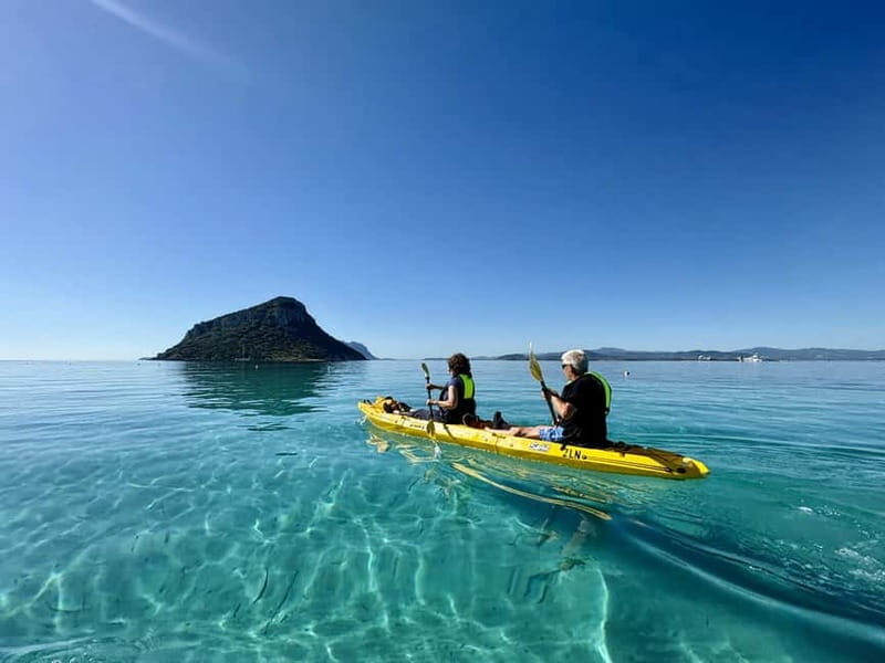 Golfo Aranci:Small group, german guided Kayak tour&Dolphins - A Deep Dive into the Itinerary and What You’ll Experience