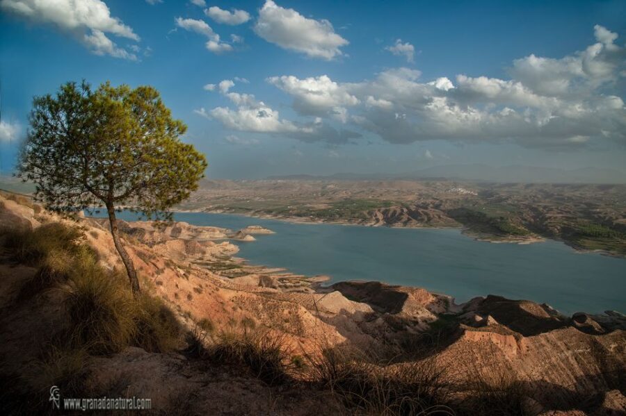 Gorafe: Los Coloraos Desert 4x4 Tour - Introduction to the Experience