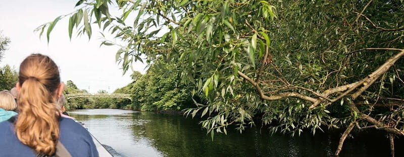 Gothenburg: Paddan Sightseeing Cruise on the River Säveån - Final Thoughts: Is It Worth It?