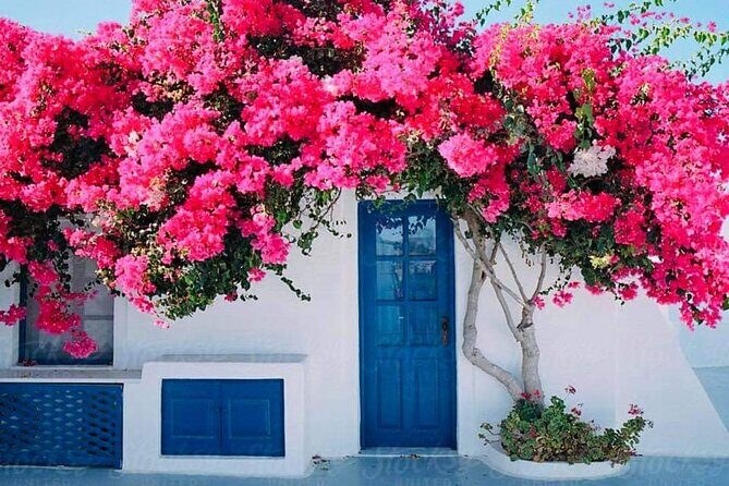 Gourmet Journey: 12-Course Lunch, Wine Tasting & Culinary Session - What Reviewers Say