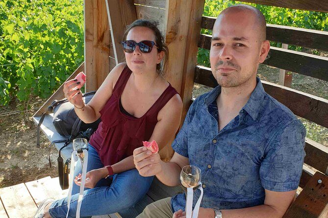 Gourmet walk in the heart of the vineyards with Champagne tasting near Epernay - Who Will Love This Tour?