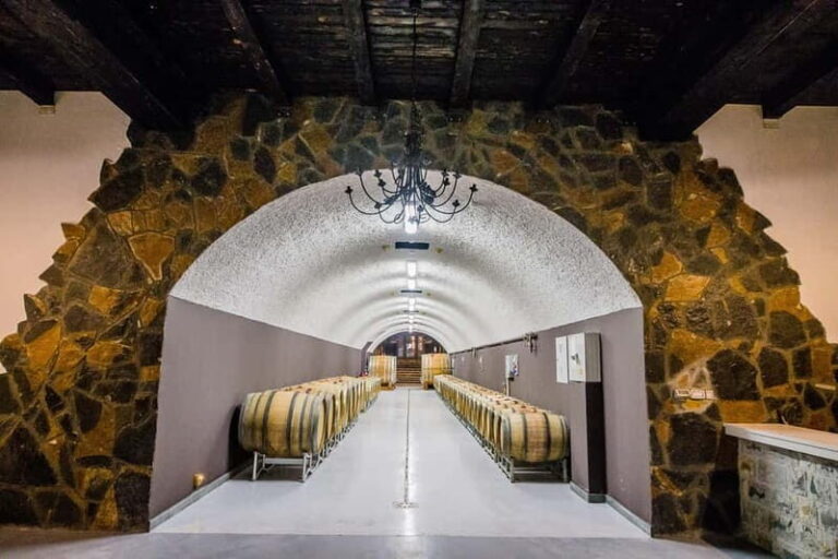 Graani: Winery Tour and Tasting at Winery Lipovac - A Detailed Look at the Lipovac Winery Experience