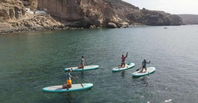 Gran Canaria : 2h Stand Up Paddle board lessons - What to Expect from the 2-Hour SUP Lesson in Gran Canaria