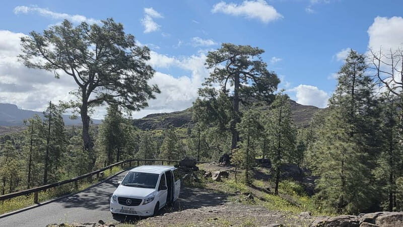 Gran Canaria: Full Coast Tour with Local Guide - An In-Depth Look at the Tour