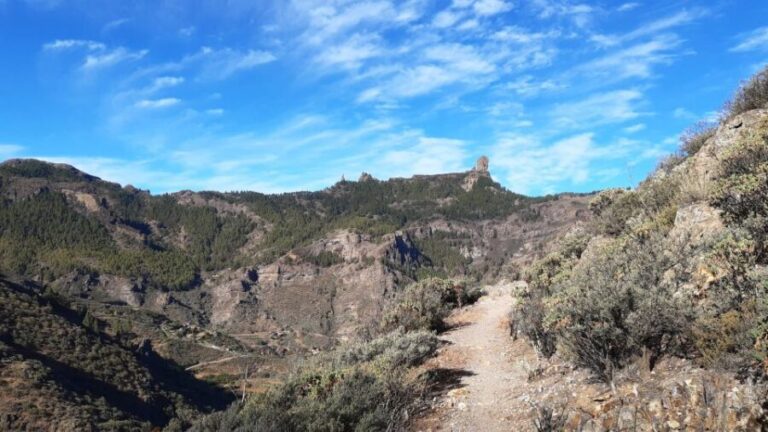Gran Canaria: Full-Day Guided Hiking With Snacks - Everything You Need to Know About the Gran Canaria Guided Hike