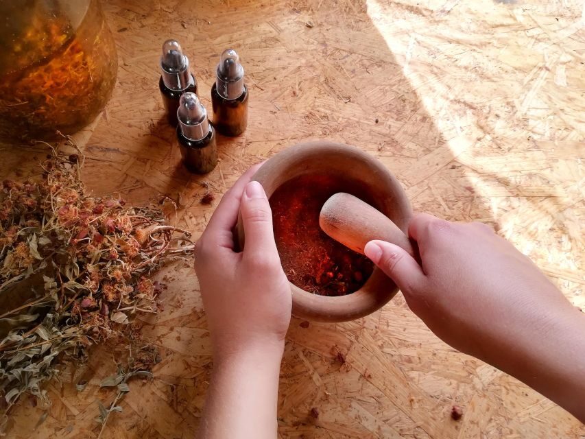 Gran Canaria: Green Witchcraft in the Magic Island - Who Will Love This Tour?