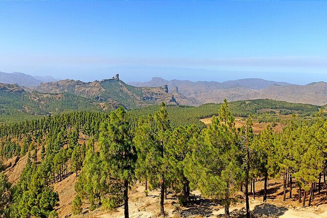 Gran Canaria Premium Tour: Volcanoes and Wine for cruisers - What Makes This Tour Stand Out?