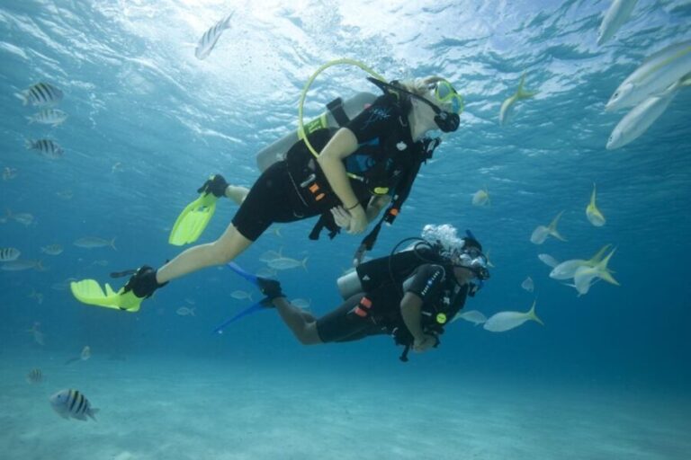 Gran Canaria: Scuba Diving for Beginners - The Marine Encounter