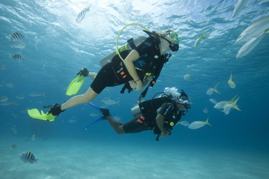 Gran Canaria: Scuba Diving for Beginners - The Marine Encounter