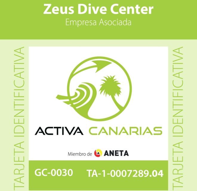 Gran Canaria Scuba Diving for Certified Divers - Value and Pricing