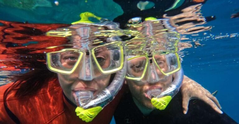 Gran Canaria: Snorkel tour with boat on the west coast - The Coastal Highlights