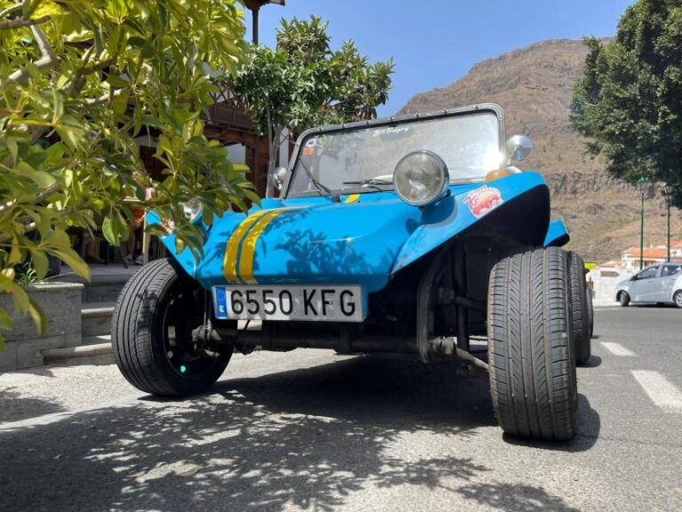 Gran Canary: 70's VW Buggy Tour - Value for Money and Practical Considerations