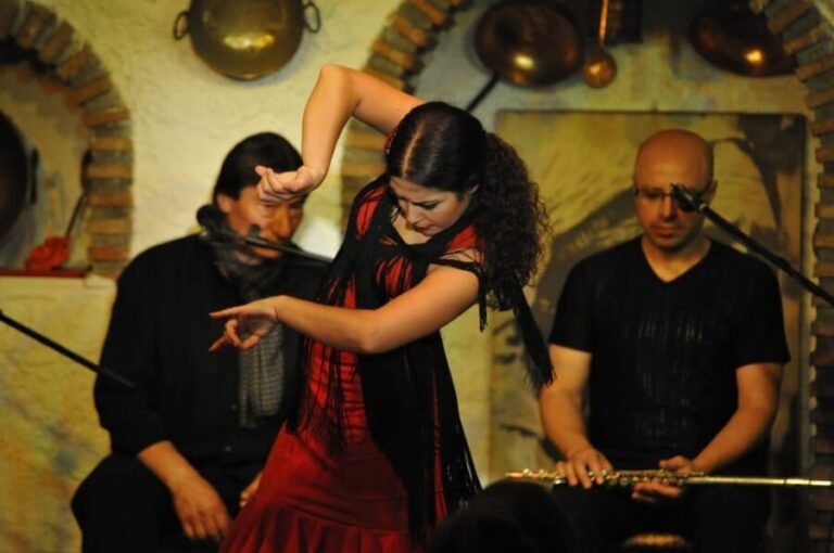 Granada: Alhambra Guided Tour and Flamenco Show - Visiting the Alhambra: What to Expect