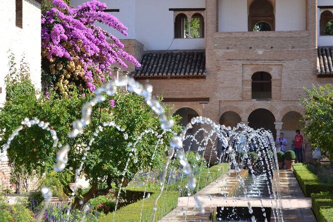 Granada Alhambra or Free Tour from Malaga - Insights from Reviews: Authentic Perspectives