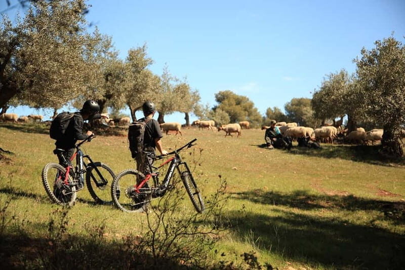Granada: Nature, Wildlife and Authentic Villages E-bike Tour - Exploring Sierra Nevada National Park